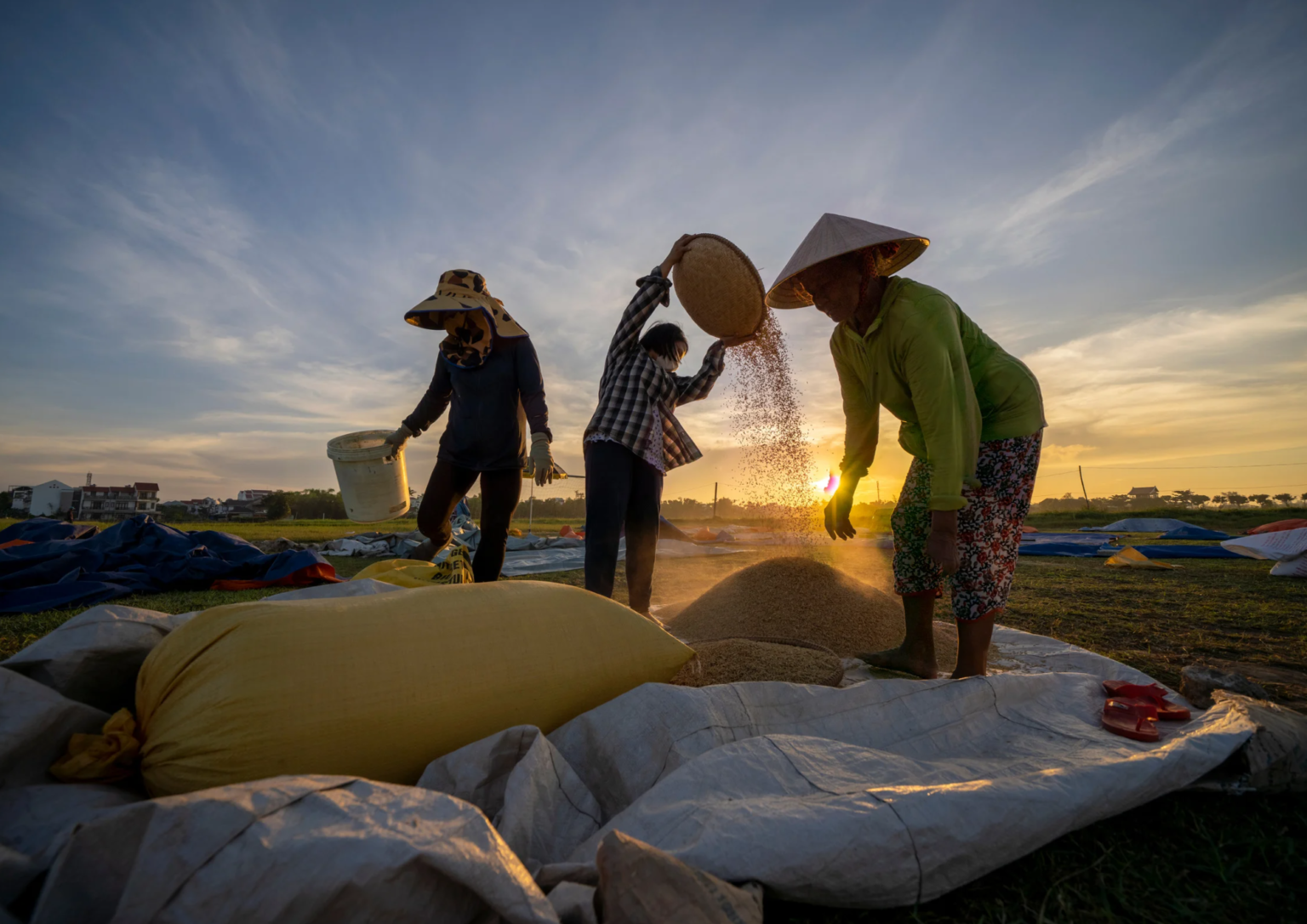 Fair Trade Standards in Agrifood Production | Fair Trade Resource Center